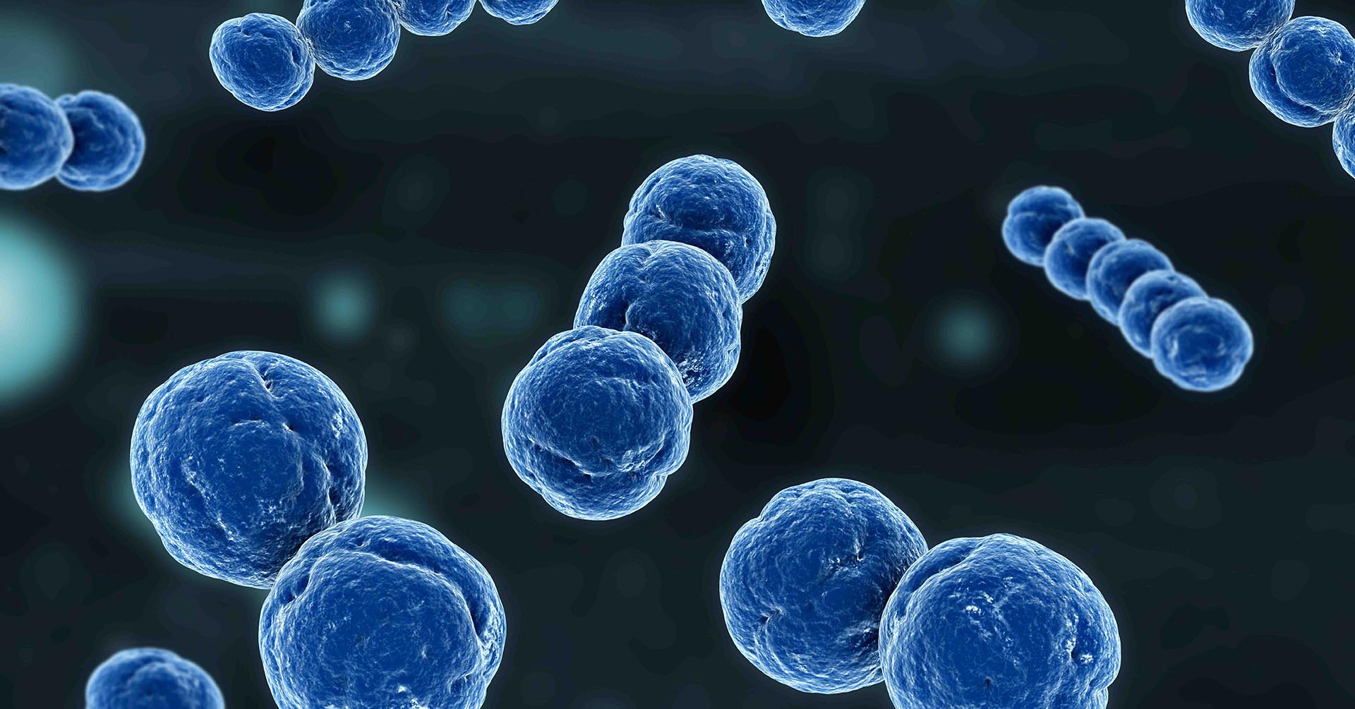 Infectious Communicable Disease Houston Methodist