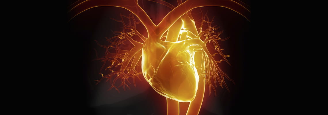 Center for Cardiovascular Regeneration | Houston Methodist