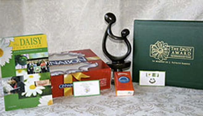 The DAISY Award for Nursing | Houston Methodist