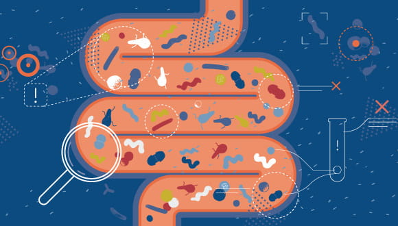 Should You Do a Gut Microbiome Test? | Houston Methodist On Health