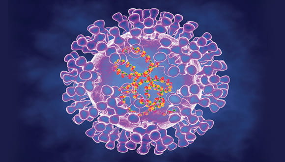 Monkeypox Outbreak: How Worried Should You Be? | Houston Methodist On ...