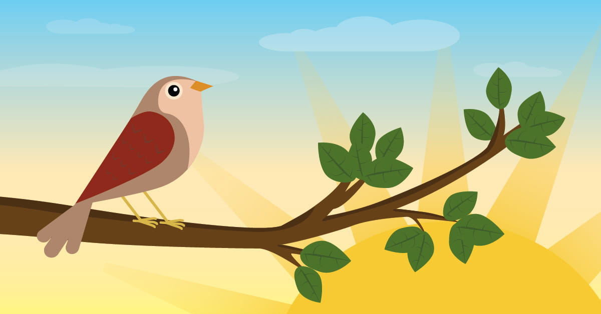 So, You're A Morning Person: Is That Good? | Houston Methodist On Health