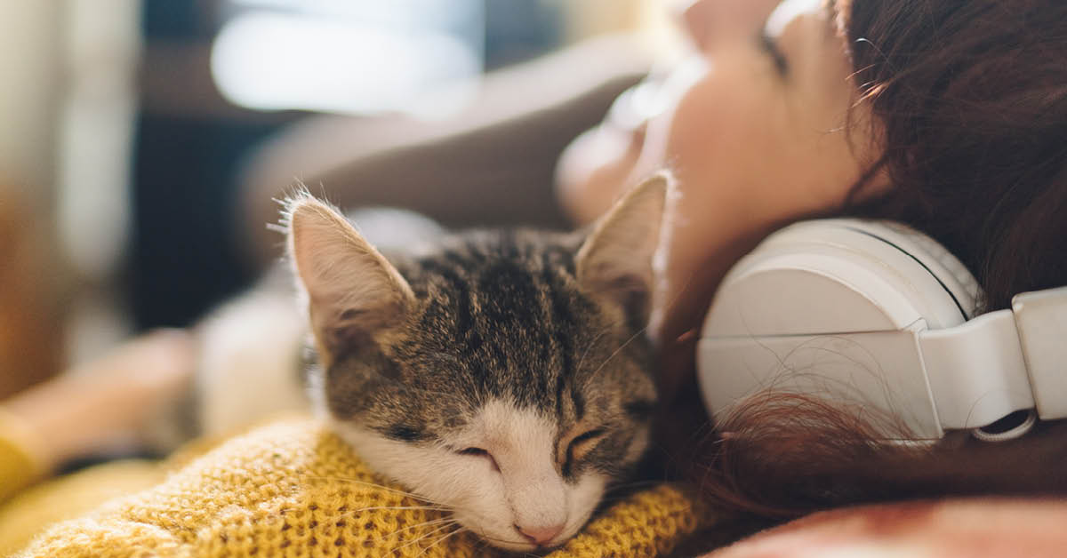 The Stress-Busting Power of Pets | Houston Methodist On Health