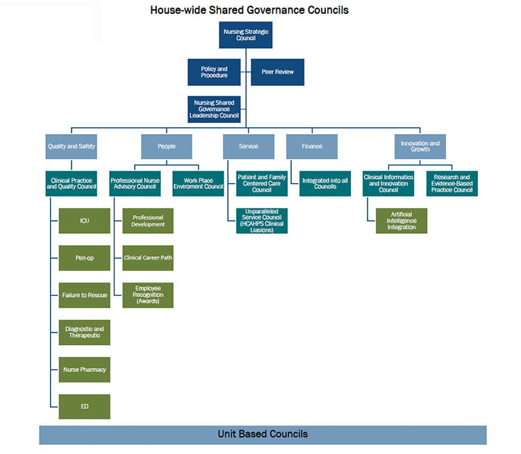 Professional Nursing | Houston Methodist Hospital | Texas Medical Center