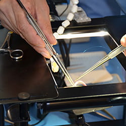 Orthopedics and Sports Medicine - Bone & Joint Treatment | Houston ...