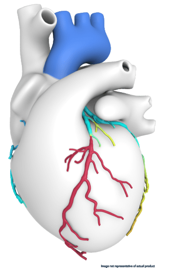 Dr. Eric Longo | Houston Methodist