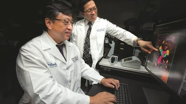 Dr. Stephen Wong Collaborates with MD Anderson to Block MFAP5 Protein ...