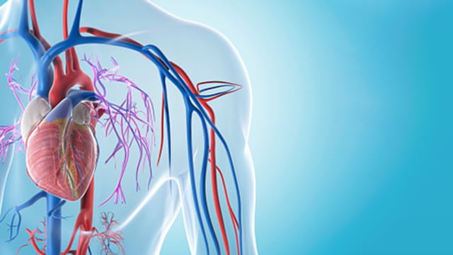 JACC editorial: Chest Pain Management Guidelines and the Power of Zero