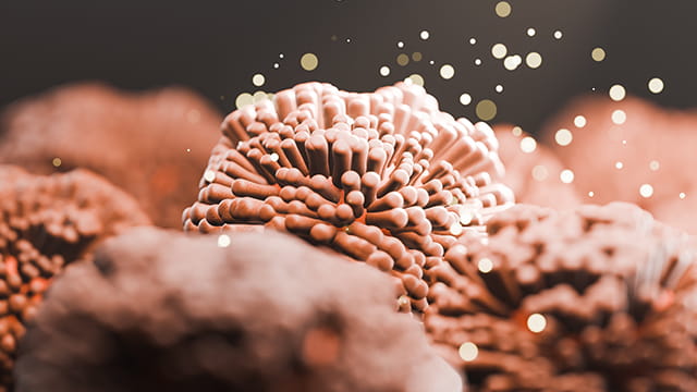 Re-examining Small Intestinal Bacterial Overgrowth: Dr. Eamonn Quigley ...