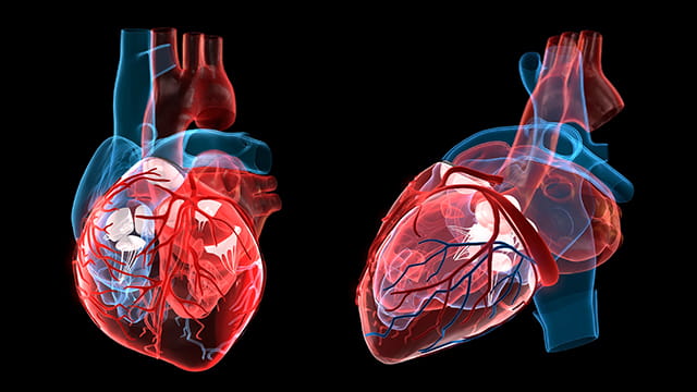 ACC Conference 2023: DeBakey Experts Lead Key Education Sessions