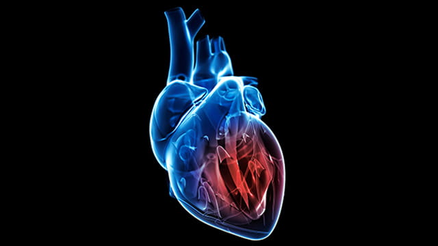 Houston Methodist Heart Experts Join AHA 2024 Centennial Lineup
