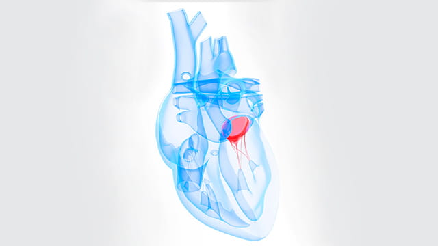 Houston Methodist Heart and Valve Experts Present Latest Research at ...
