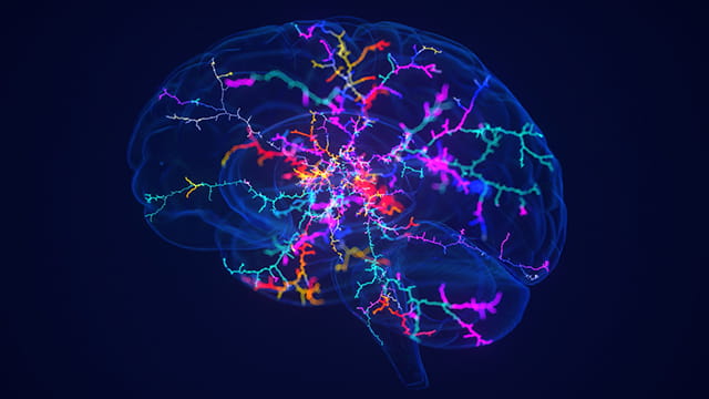 Houston Methodist Study Uses Optogenetic Stimulation to Illuminate How ...