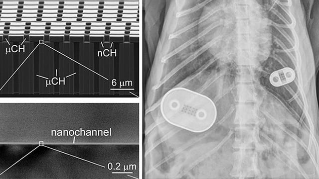 HIV Prevention May Soon Be 'Foolproof' with Houston Methodist-Designed ...