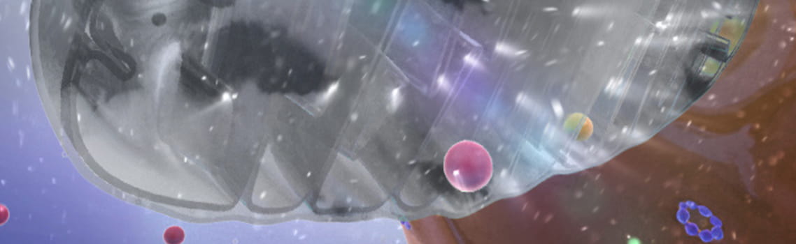 Dr. David Baskin Utilizes Mitochondrial “Smart Bombs” to Treat ...