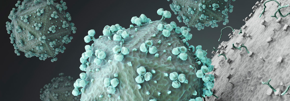 Infectious (Communicable) Disease | Houston Methodist Infectious (Communicable) Disease | Houston Methodist
