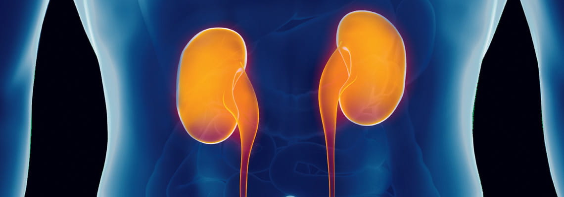 Nephrology | Houston Methodist