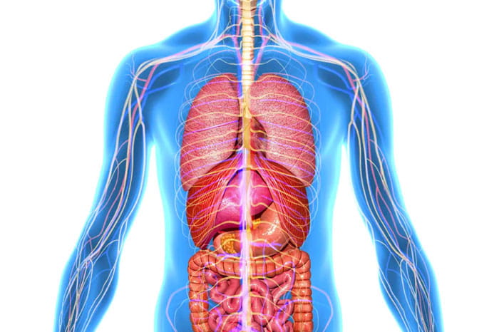 Research at Houston Methodist Academic Institute