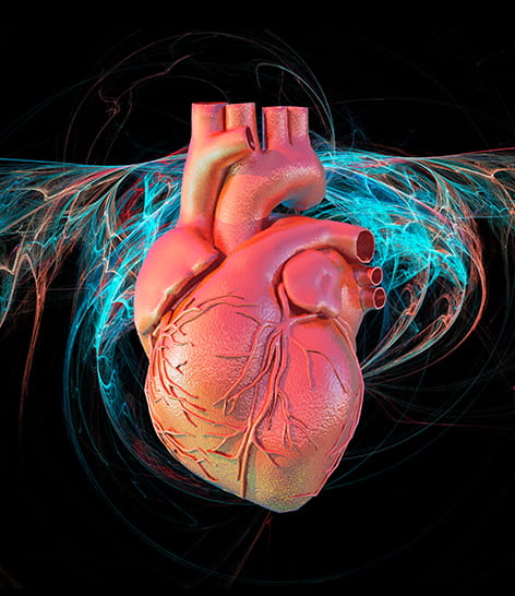 Cardiovascular Sciences Research | Houston Methodist Academic Institute Cardiovascular Sciences Research | Houston Methodist Academic Institute