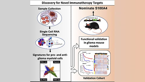 Neurology Research | Houston Methodist Academic Institute