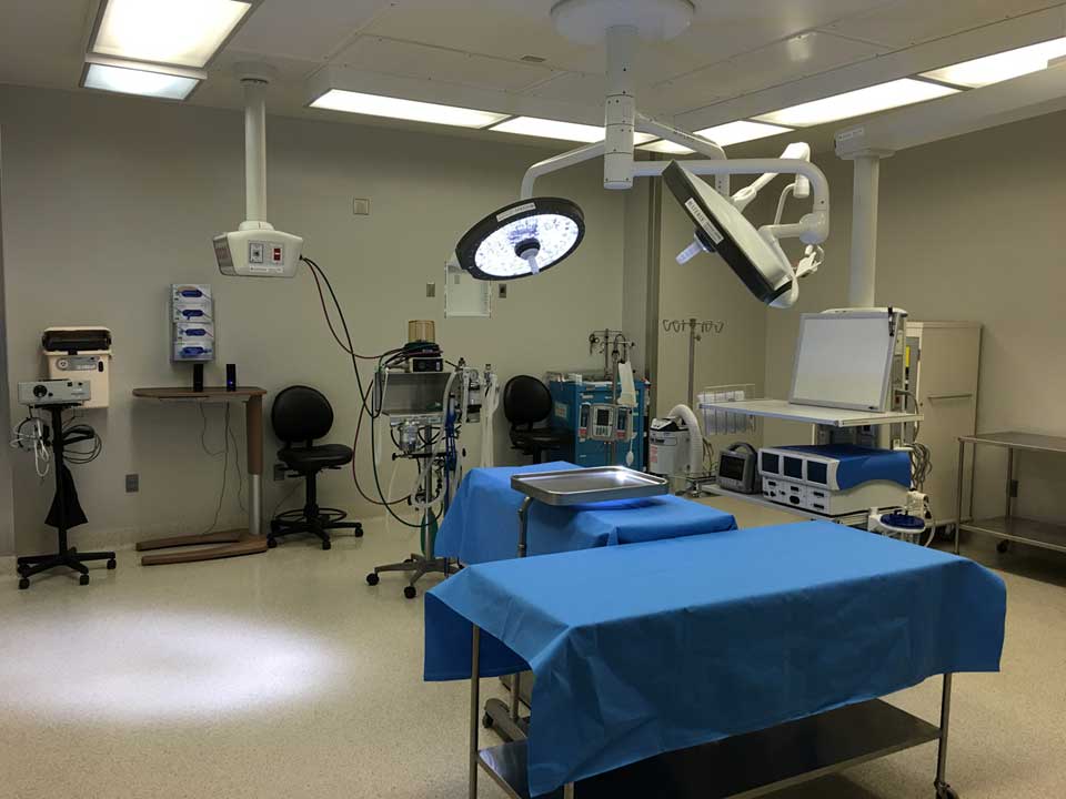 Comparative Medicine | Houston Methodist Academic Institute